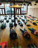 Workshops & Offerings | Point Lookout Yoga Club